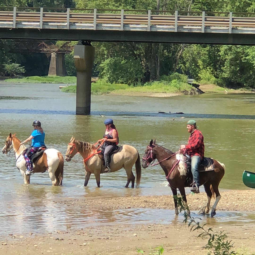 Jackie Stringfellow@momofaangel | TikTok Shop Creator Sales History | FastMoss