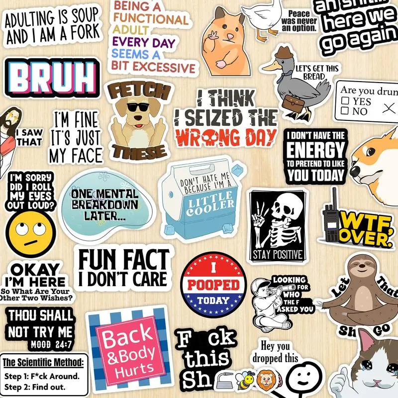 130PCS Funny Saying Sticker Pack - Snarky, Sarcastic Bold Humor Vinyl ...