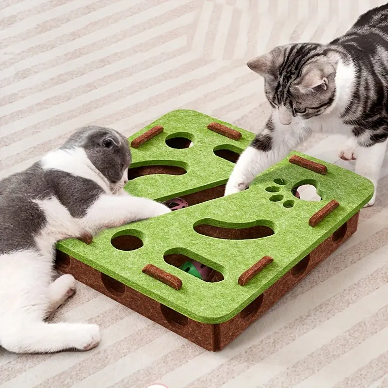Cat's self entertainment tool for relieving boredo TikTok爆款商品分析 - GMV ...