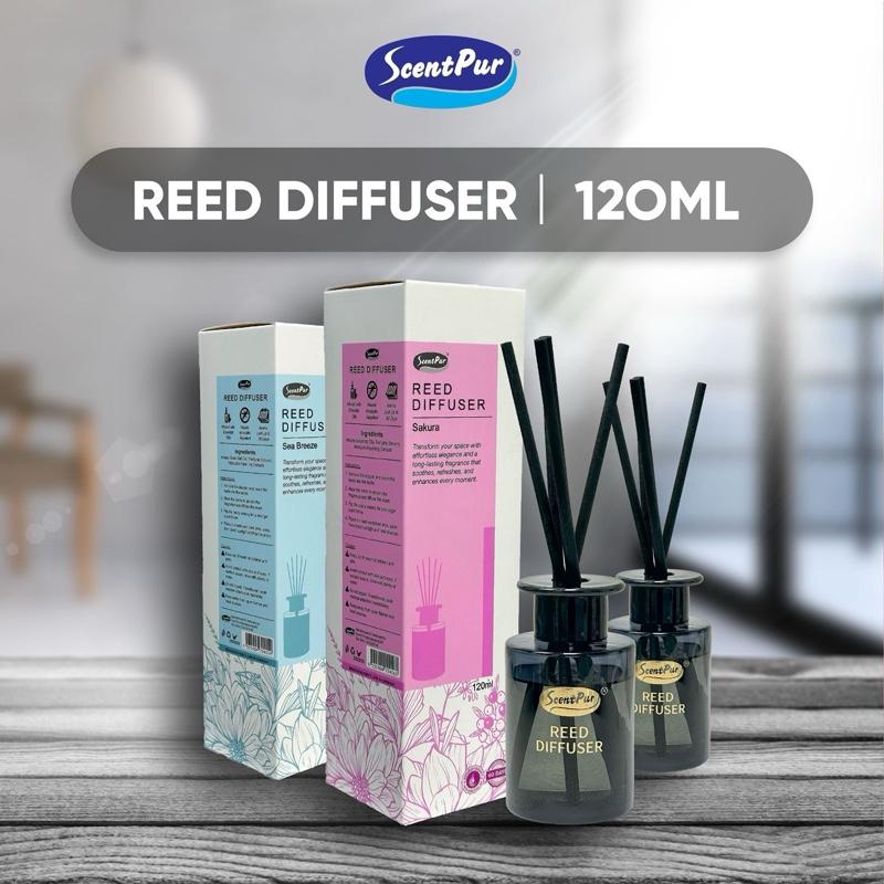 查看[ScentPur Reed Diffuser 120ml – Sakura / Sea Breeze | Long-Lasting ...