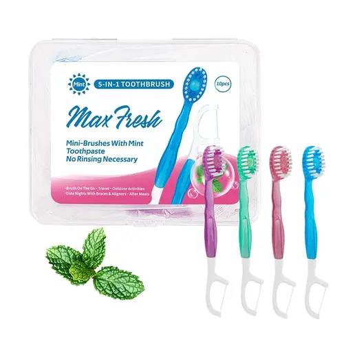 Portable 5 in 1 Mini Toothbrush Set, 10pcs/box Refreshing Toothbrush ...