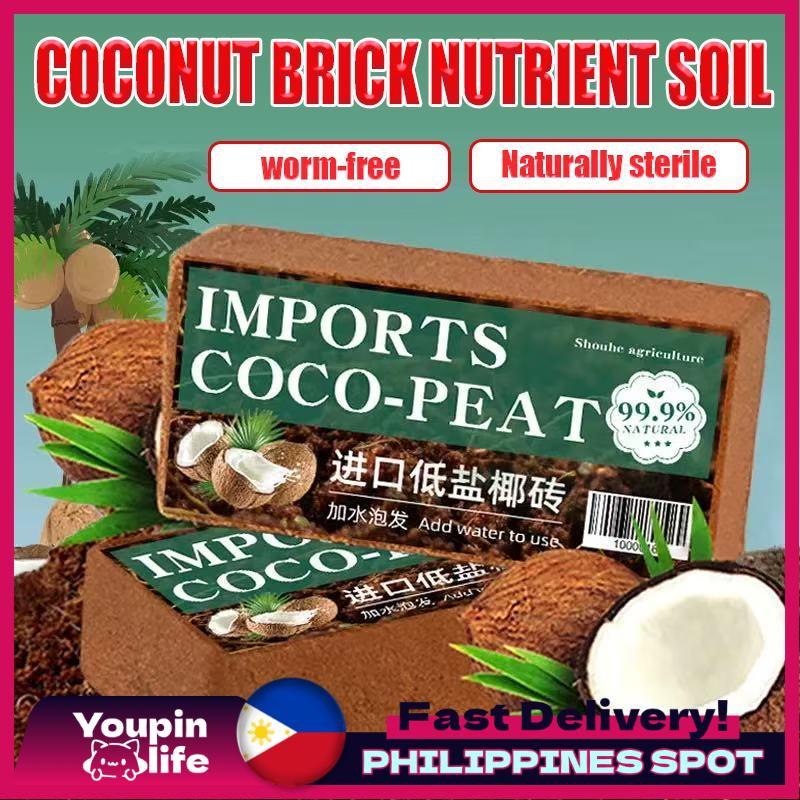 high-quality Coconut brick Imported Natural Cocope TikTok爆款商品分析 - GMV ...