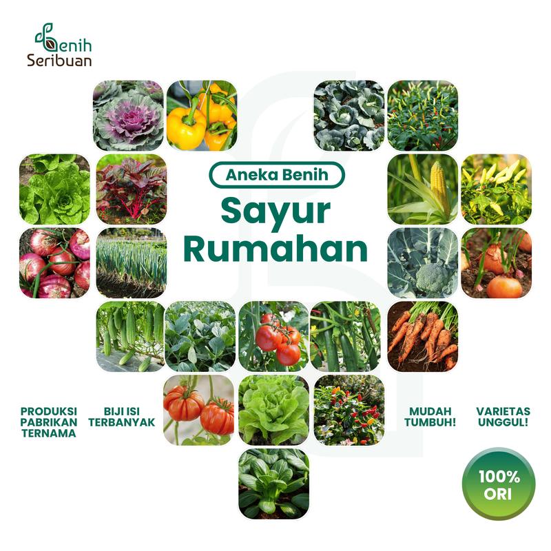 Benih Sayur Sayuran Benih Seribuan Varian Lengkap TikTok爆款商品分析 - GMV/销量 ...