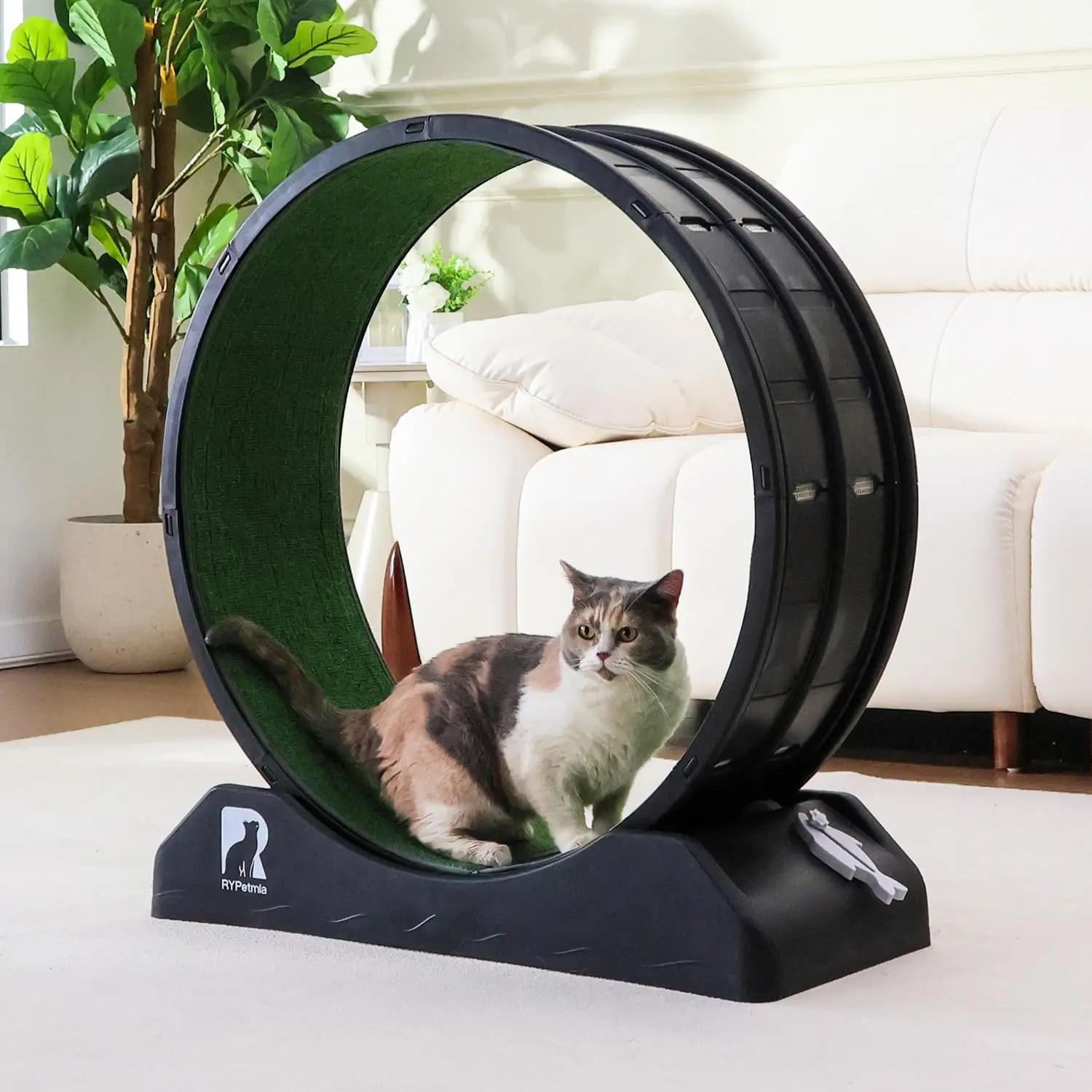 Cat Exercise Wheel, 31.5 Inch Cat Treadmill for In TikTok爆款商品分析 - GMV ...