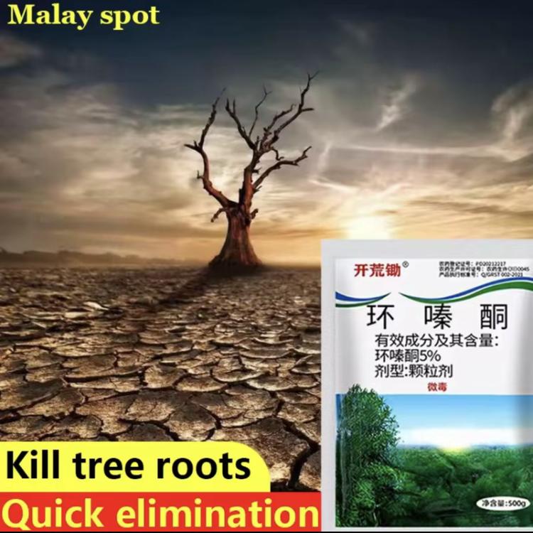 【Malay spot】alion arcun rumput parakuta Weeding，rotten tree eradicator ...