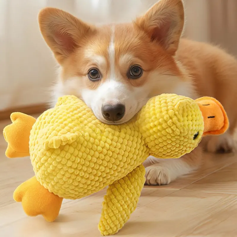 Papera di Peluche per Cani - Giocattolo Resistente e Sonoro per ...