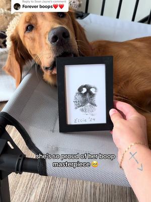 [@tate_and_ellie][Replying to @Sean Jayne ellie’s boop masterpiece 🥹🫶🏻 ...