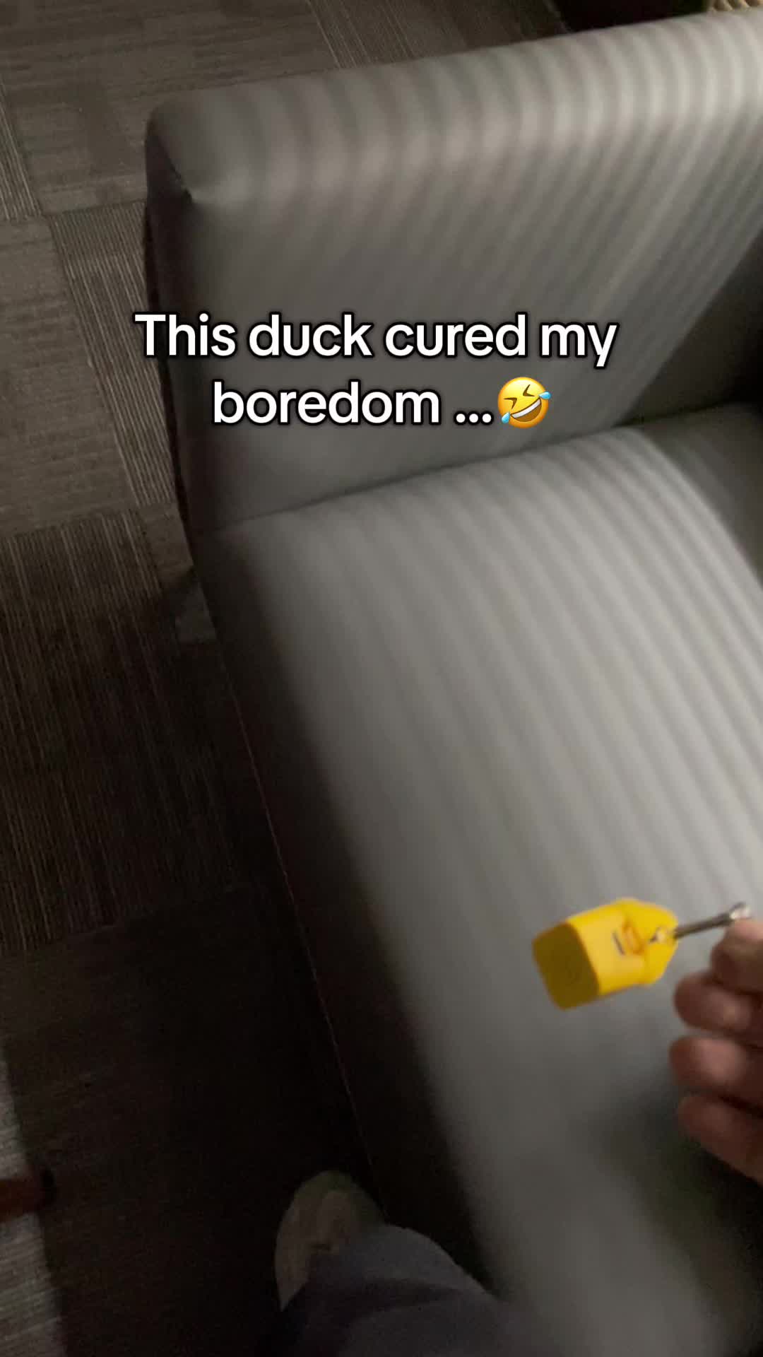 My ADHD needs this 🤣 #fidgettoys #toy #fidget #quack #duck 丨TikTok ...
