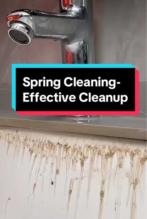 Spring Cleaning,Effective Cleanup,this brush will come in handy # ...