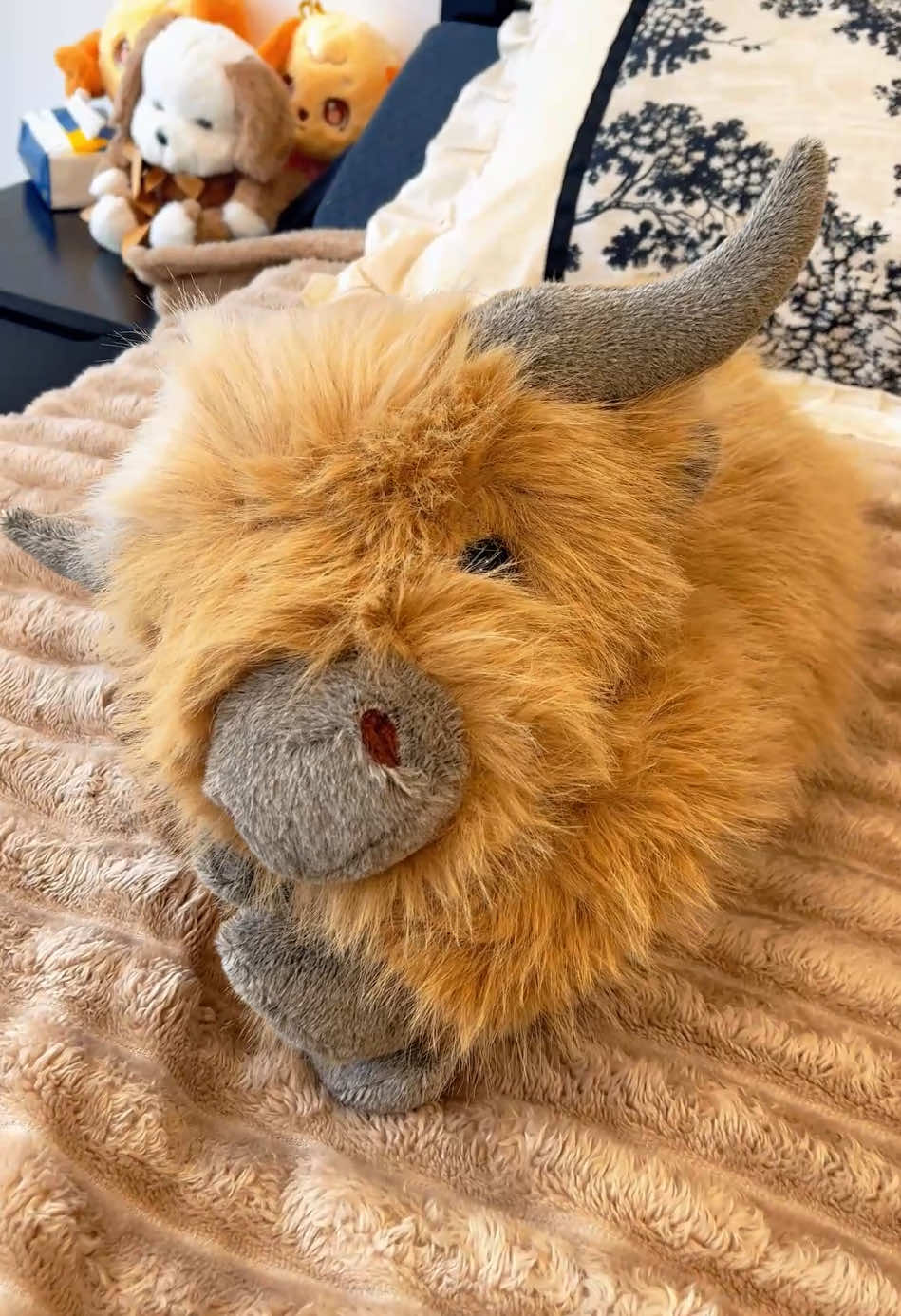 This highland weighted cow is so adorable! And the fact it holds a hot ...