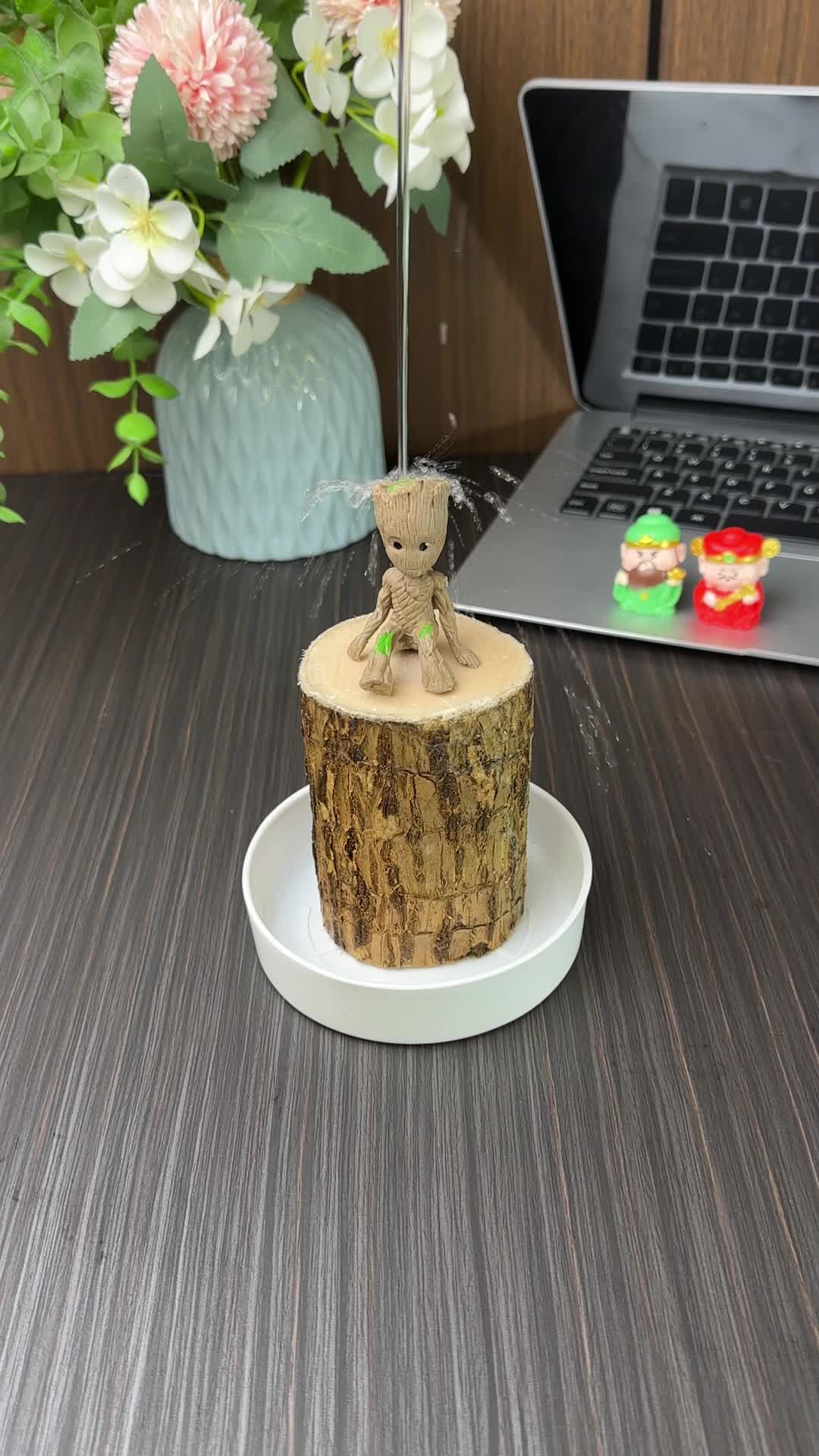 Brazilian lucky trees, bring you luck and increase wealth, mysterious ...