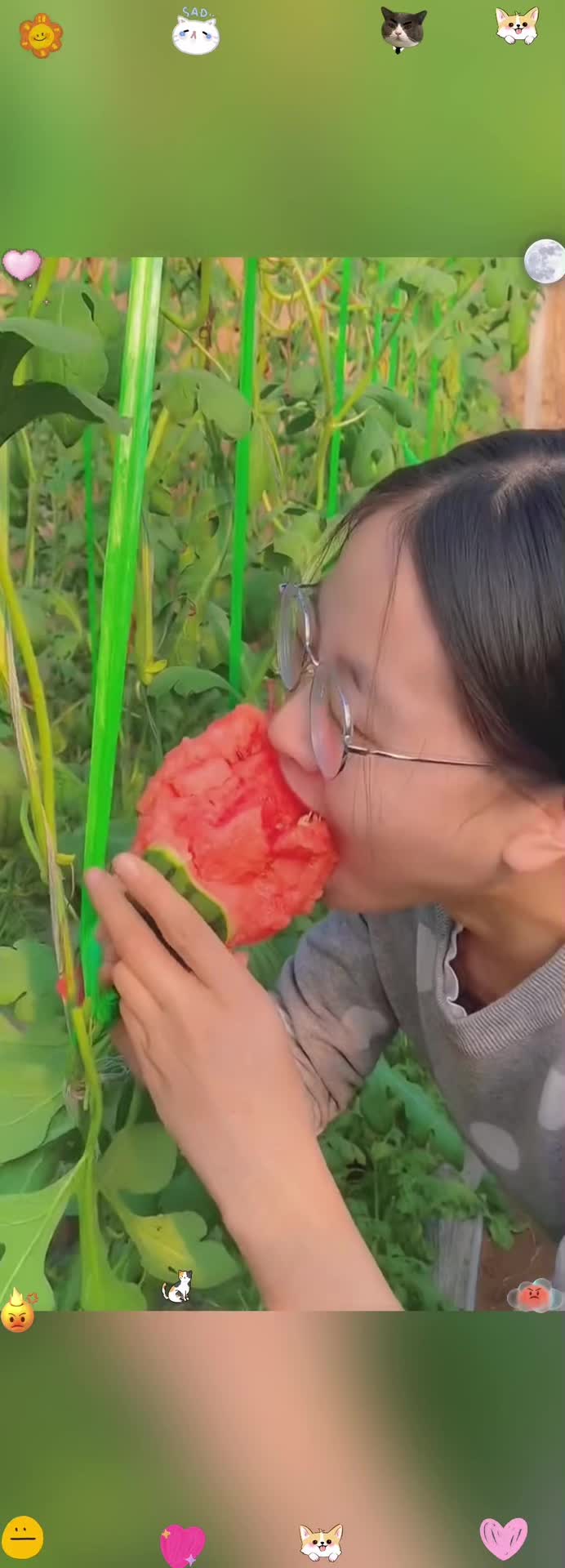 Two months ago, I used watermelon seeds to plant watermelons, and they finally grew. #Watermelon ...