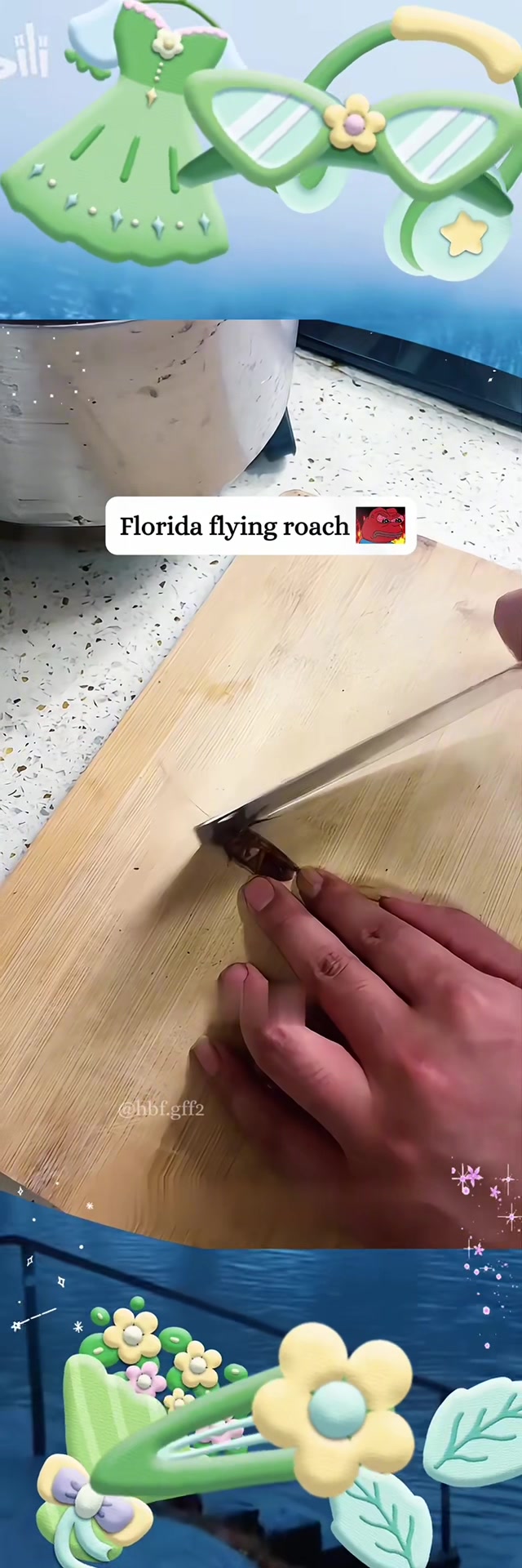 Florida flying roach 👋 Order now on TikTok Shop! 🏷️ #fyp #tiktokshop # ...
